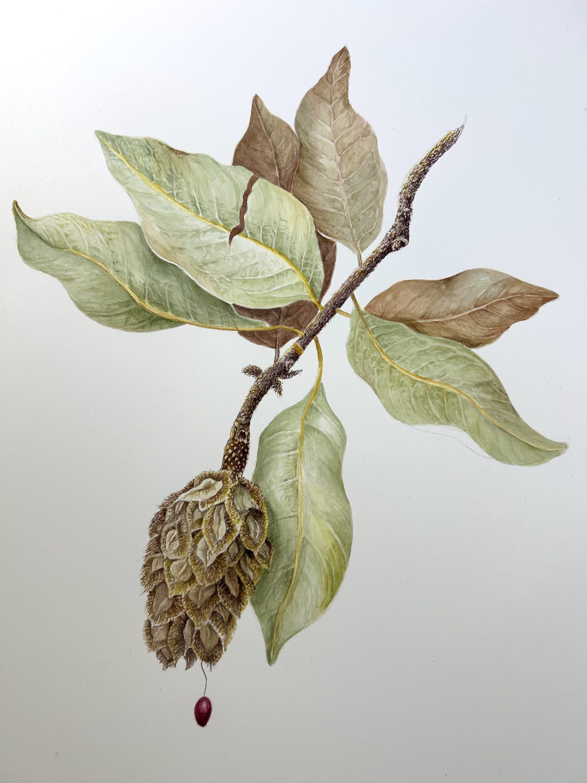 A Winter’s Walk though Jan 25th & Poetry Jan 3rd – Alexandria Arts Alliance